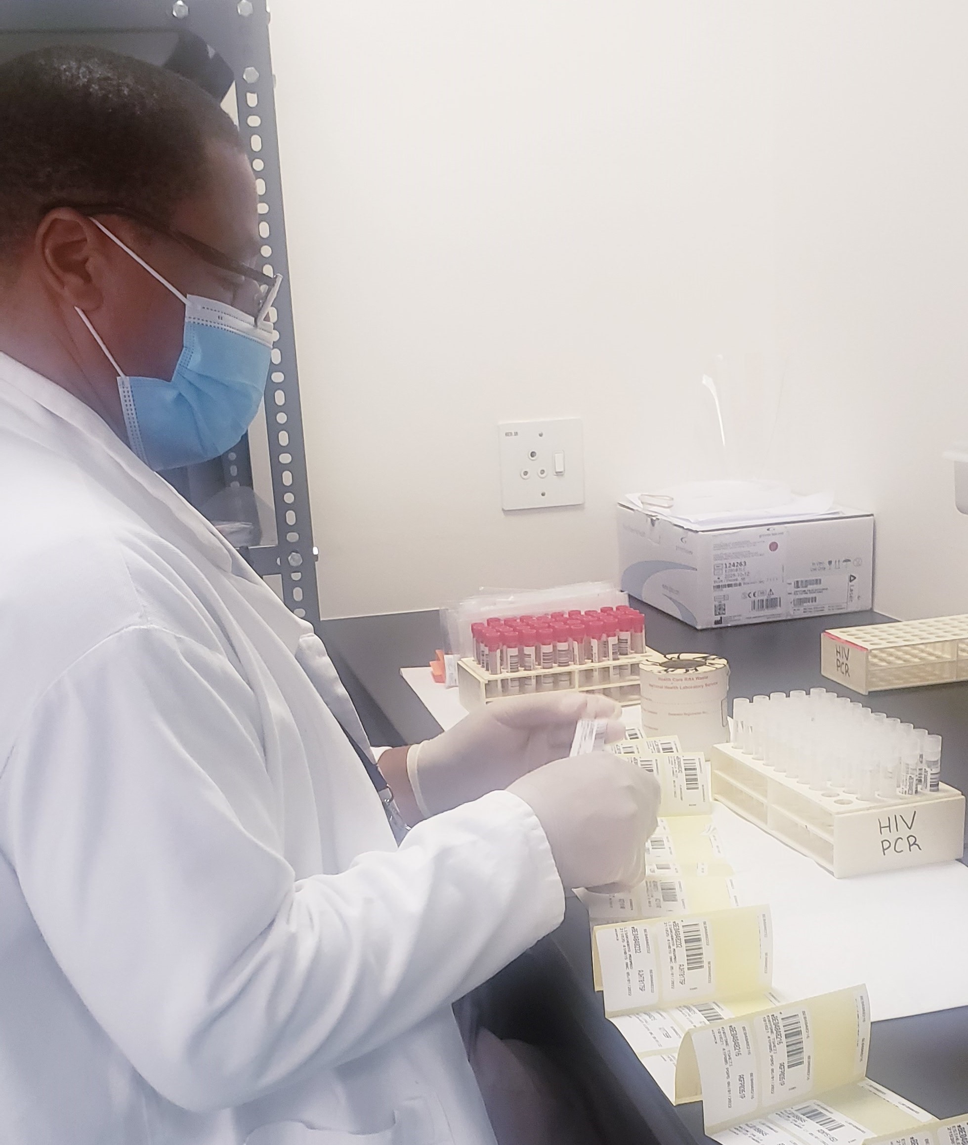 Gallery - Discipline of Virology